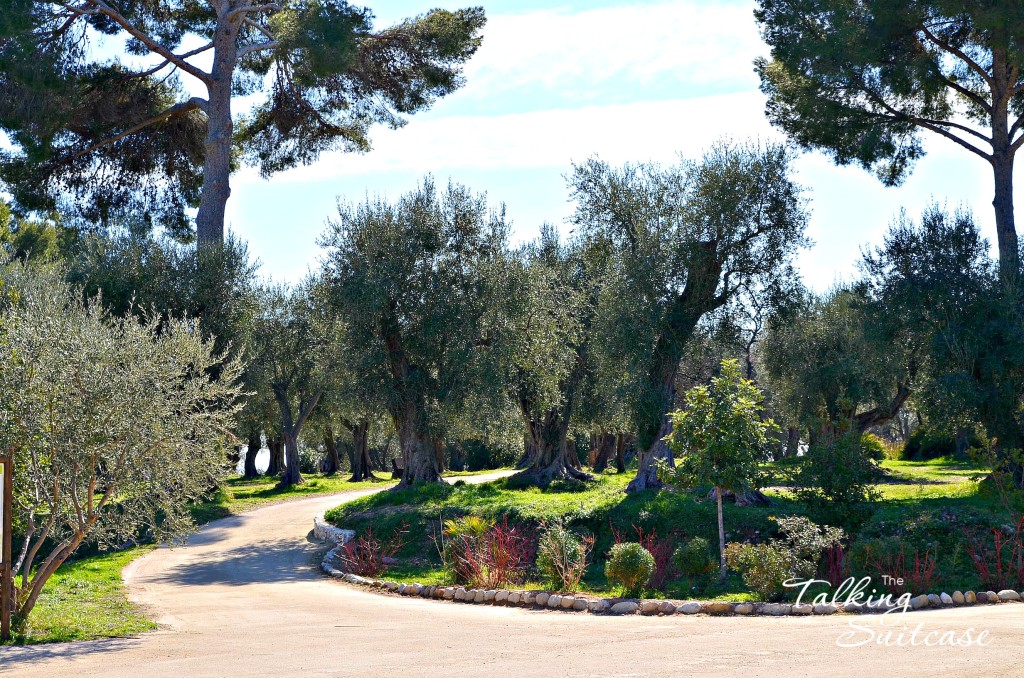 Best Parks in Nice, France
