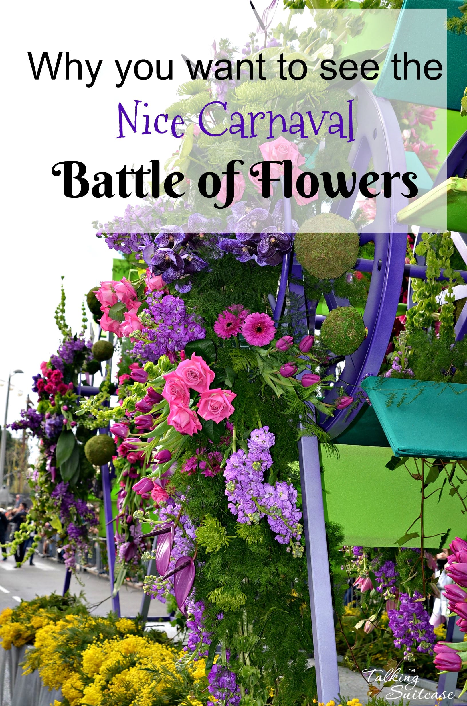 Photos That Will Make You Want to See The Nice Carnaval Battle of Flowers